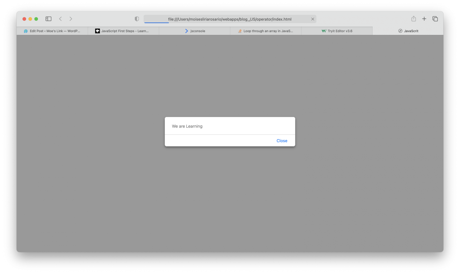 Intro to JavaScript for Web development - Moe's Link